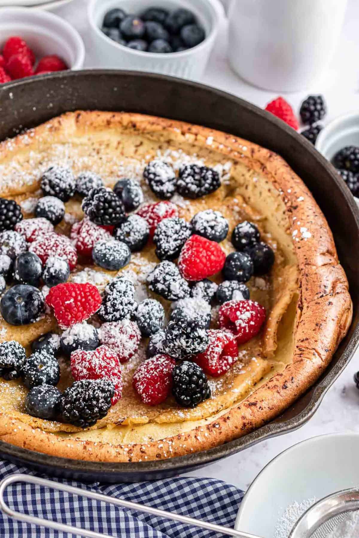 Dutch Baby Pancake Recipe • Pancake Recipes
